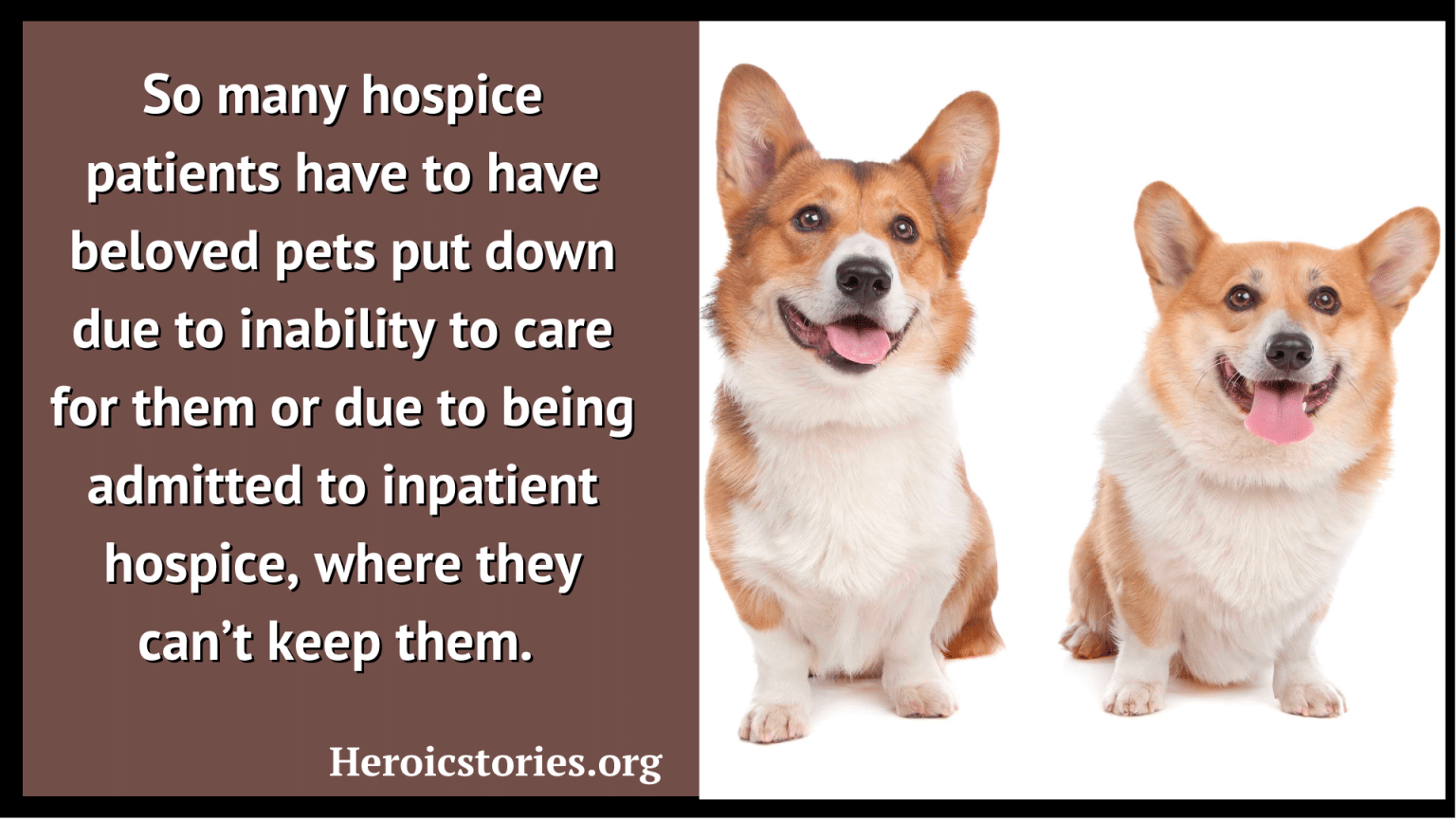 Julie’s Dogs - HeroicStories