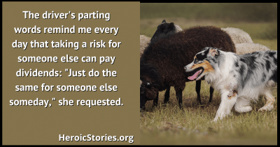 Dog Gone Good Samaritans - HeroicStories